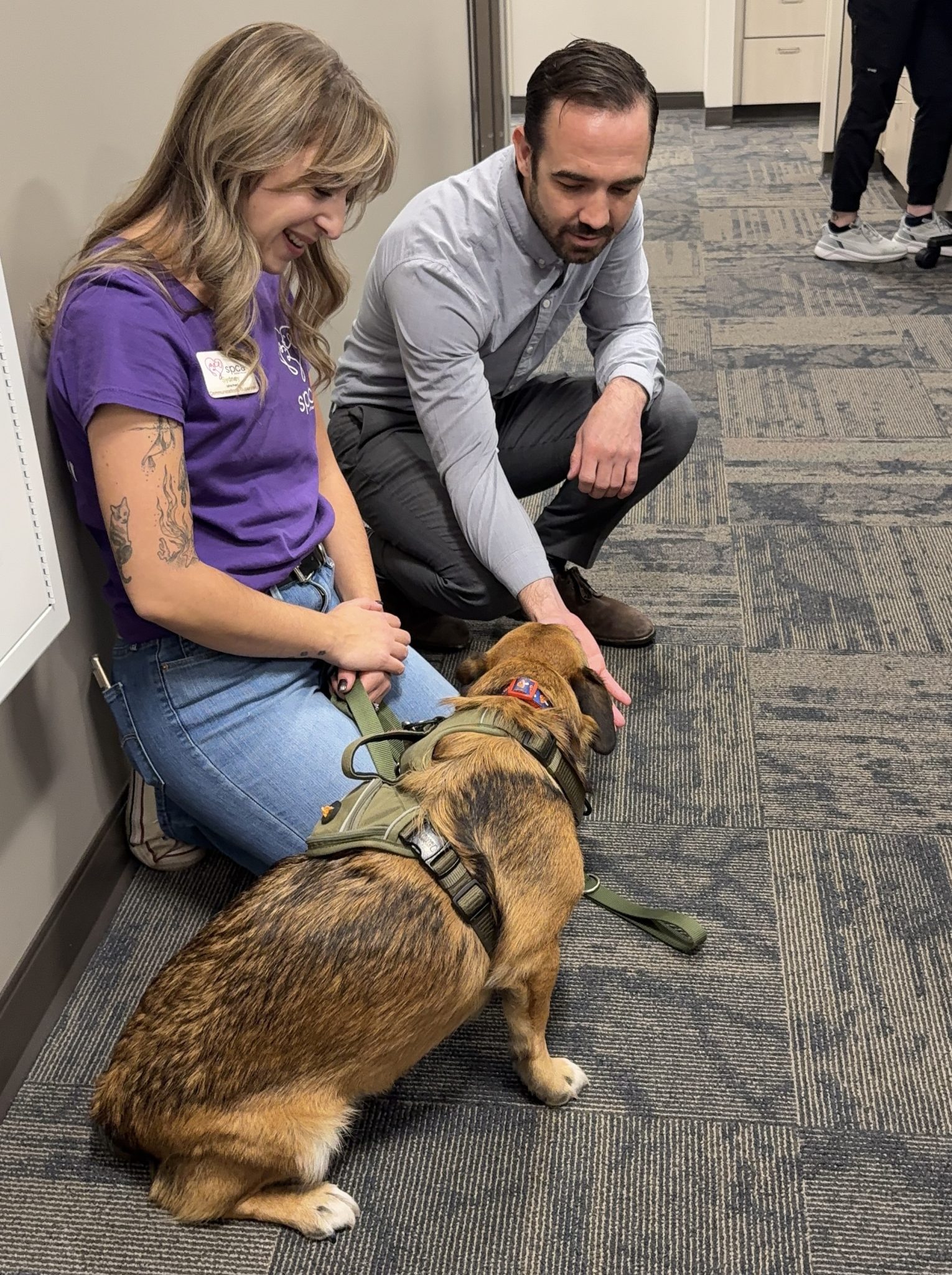 ROC - October SPCA Partner of the Month🐾 - Reno Orthopedic Center